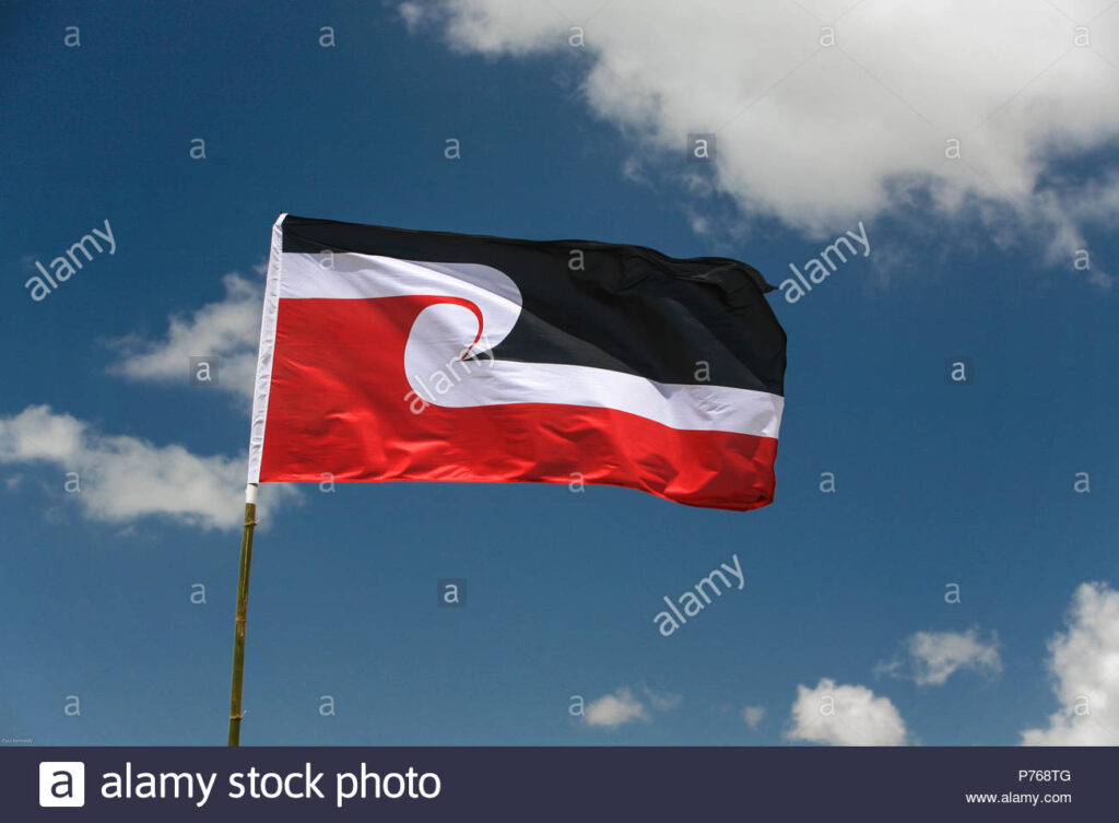 He Puapua – a controversial document and equally a controversial ...